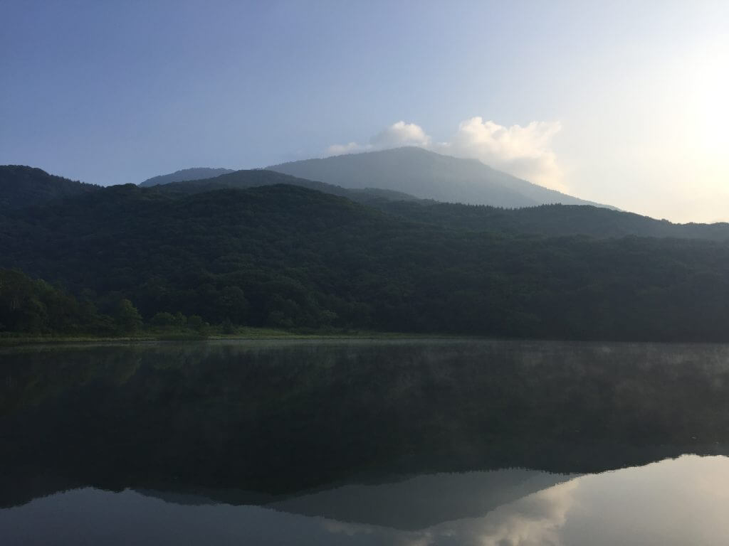 ㈱サンクロン 本社サイト｜TOP - クマザサの医薬品、化粧品、健康食品の製造販売