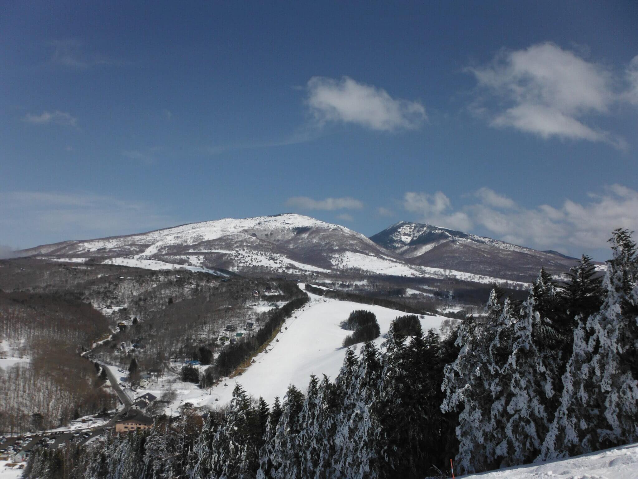 ㈱サンクロン 本社サイト｜TOP - クマザサの医薬品、化粧品、健康食品の製造販売